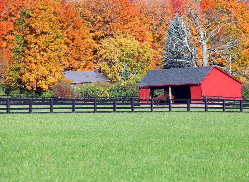 Fall day in forest stock image. Image of beautiful, light - 42782873