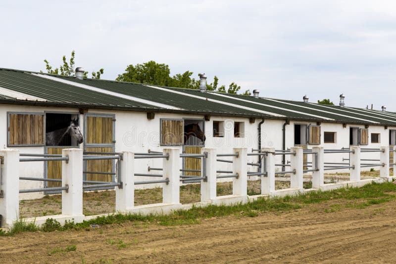 Modern horse stables. stock image. Image of equine, view - 50378117