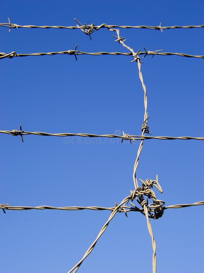 Verwicklung Des Stacheldrahts Gegen Den Dunkelheitshimmel Stockbild ...