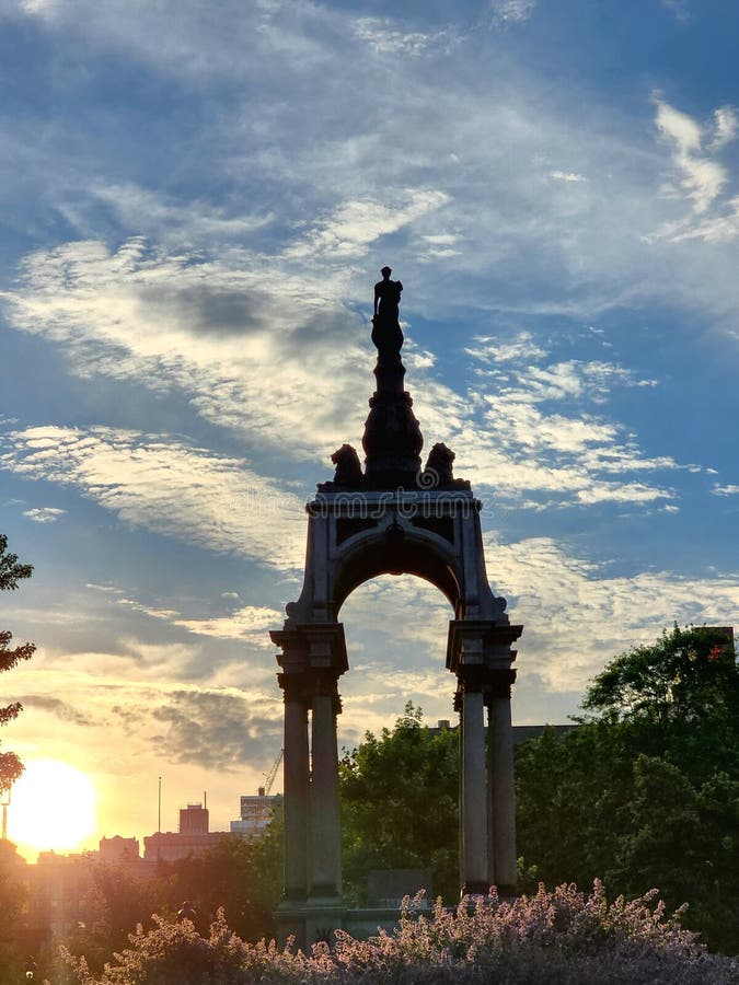 Stachu in the sunset stock photo. Image of timing, flowless - 250635490