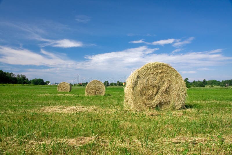 Stack stock image. Image of field, grass, braided, blue - 12042893