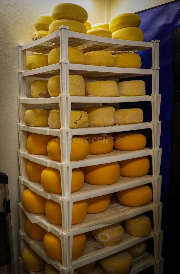 Stack of Aging Cheese Wheels on a White Rack in a Dimly Lit Room Stock ...
