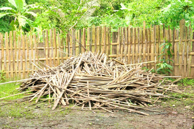 Stack of Bamboo Stick for Bamboo Fence Stock Image - Image of japan ...