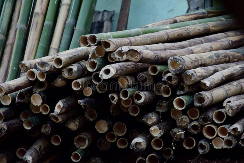 A Stack of Bamboo Sticks Neatly Arranged Stock Photo - Image of ...