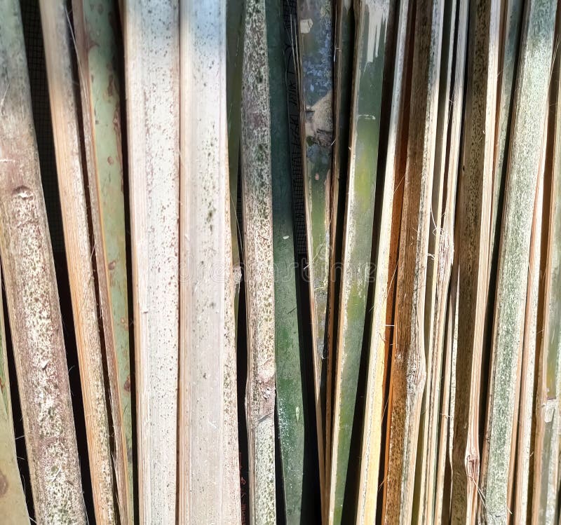 Stack Of Bamboo Sticks With Texture Stock Photo - Image of beautiful ...
