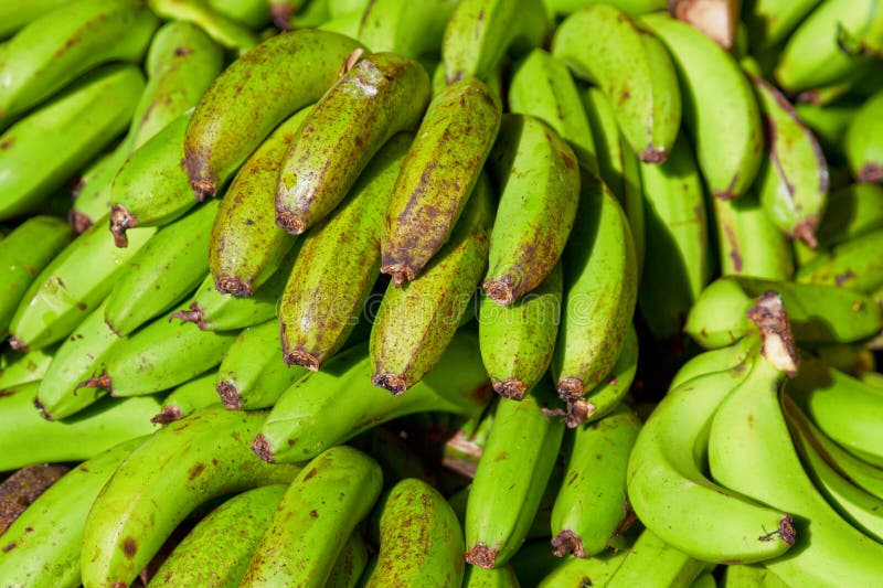 Stack of Bananas on a Market Stall Stock Image - Image of frame, market ...