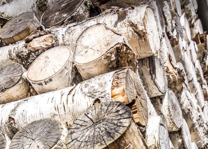 Close Up View of the Stack of Birch Logs Stock Photo - Image of pattern ...