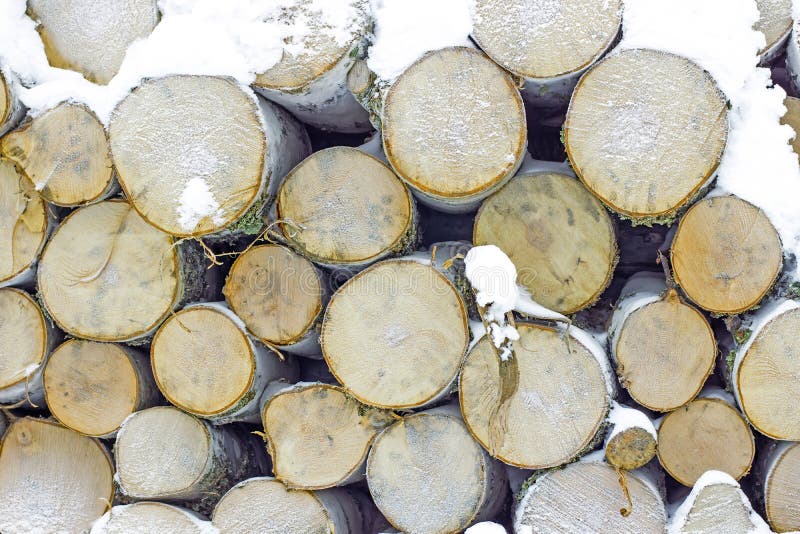 Stack of birch wood stock photo. Image of natural, stack - 33946290