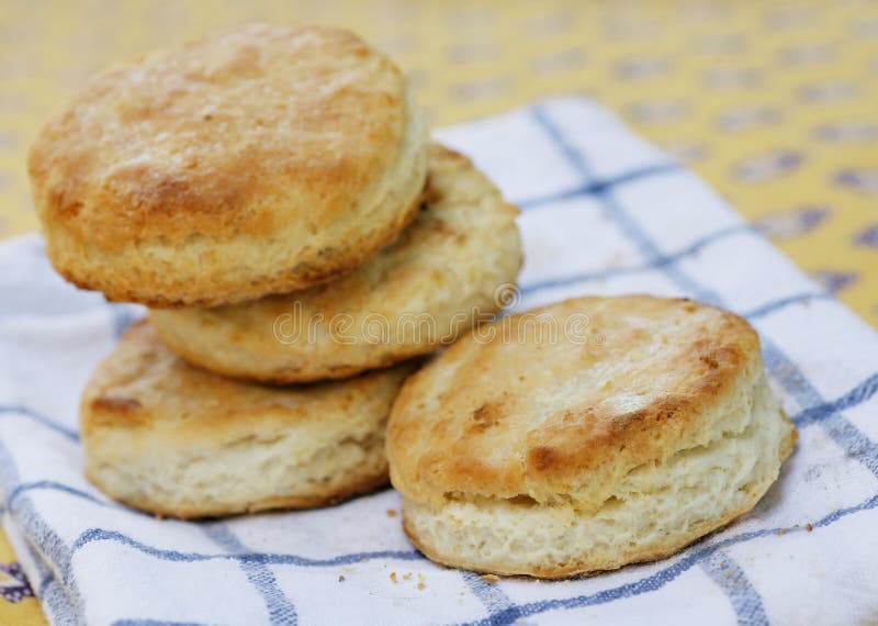 Stack of Biscuits stock image. Image of snack, stack, baked - 5700281