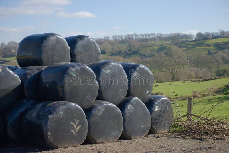 Stack of Black Plastic Wrapped Hay Bales, with Copy Space To the Right ...