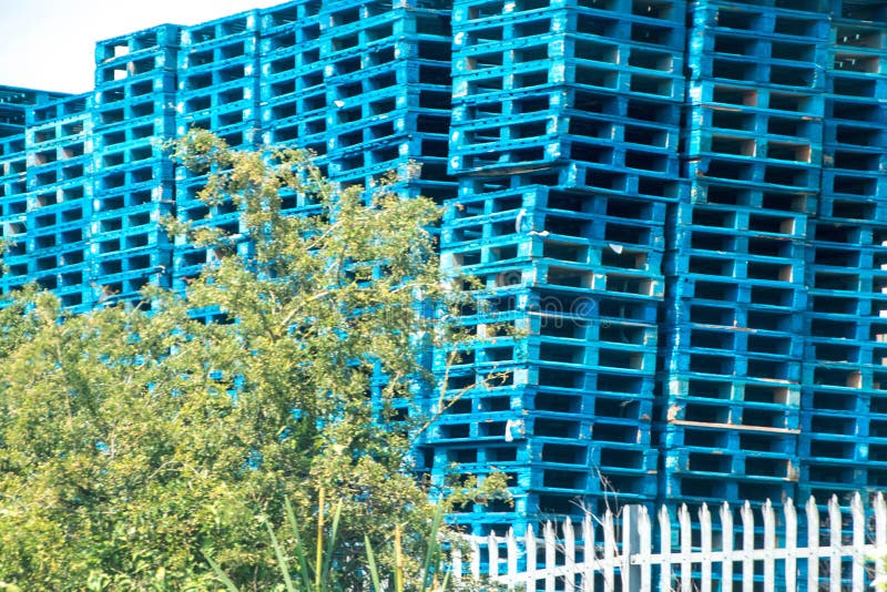 Blue Pallets with a Few Red Stock Image - Image of industrial ...