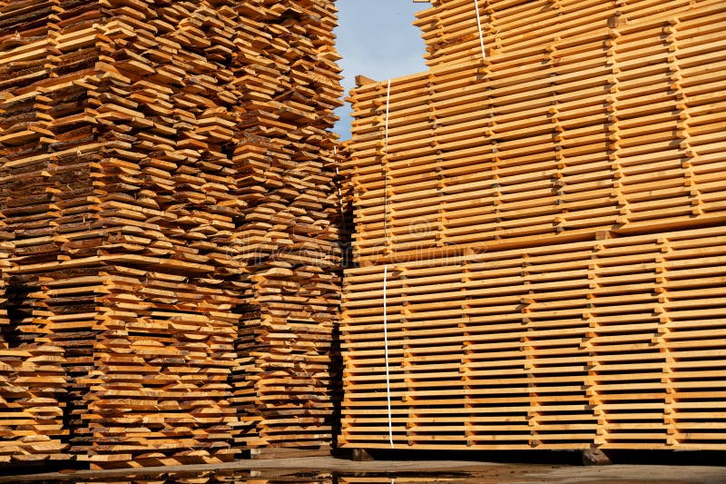 A Stack of Boards on a Sawmill. Drying Wood on a Sawmill. Production of ...