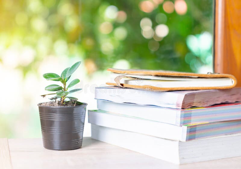 Stack of Book and Mini Plant Pot on Front Yard in Holiday Stock Photo ...