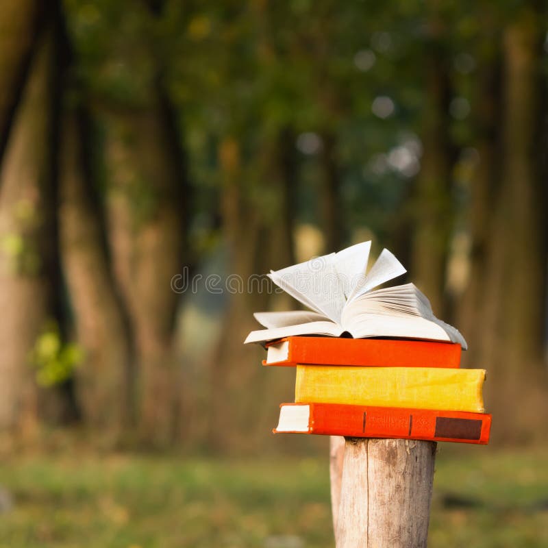Stack of Book and Open Hardback Book on Blurred Nature Landscape ...