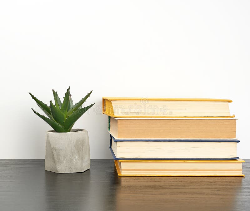 Stack Books on a Black Table and a Ceramic Pot with a Green Plant Stock ...