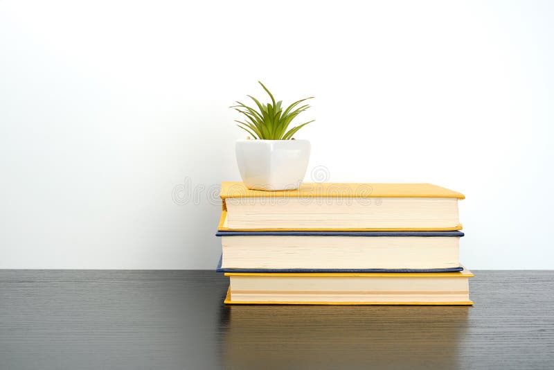 Stack Books on a Black Table, on Top a Ceramic Pot with a Green Plant ...