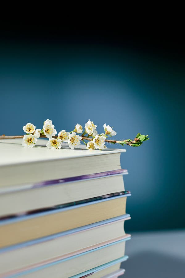 Stack of Books with Branch Flowers, World Book Day Stock Photo - Image ...