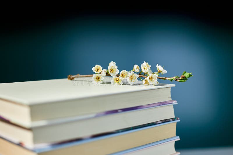 Stack of Books with Branch Flowers, World Book Day Stock Photo - Image ...