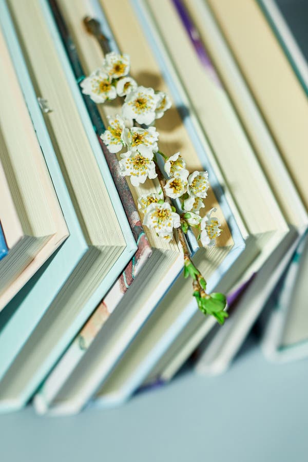 Stack of Books with Branch Flowers, World Book Day Stock Photo - Image ...