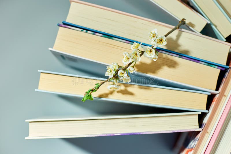 Stack of Books with Branch Flowers, World Book Day Stock Photo - Image ...