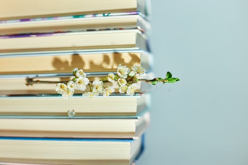 Stack of Books with Branch Flowers, World Book Day Stock Image - Image ...