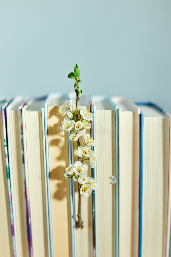 Stack of Books with Branch Flowers, World Book Day Stock Photo - Image ...