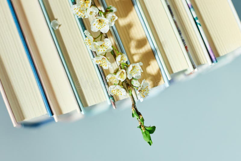 Stack of Books with Branch Flowers, World Book Day Stock Photo - Image ...