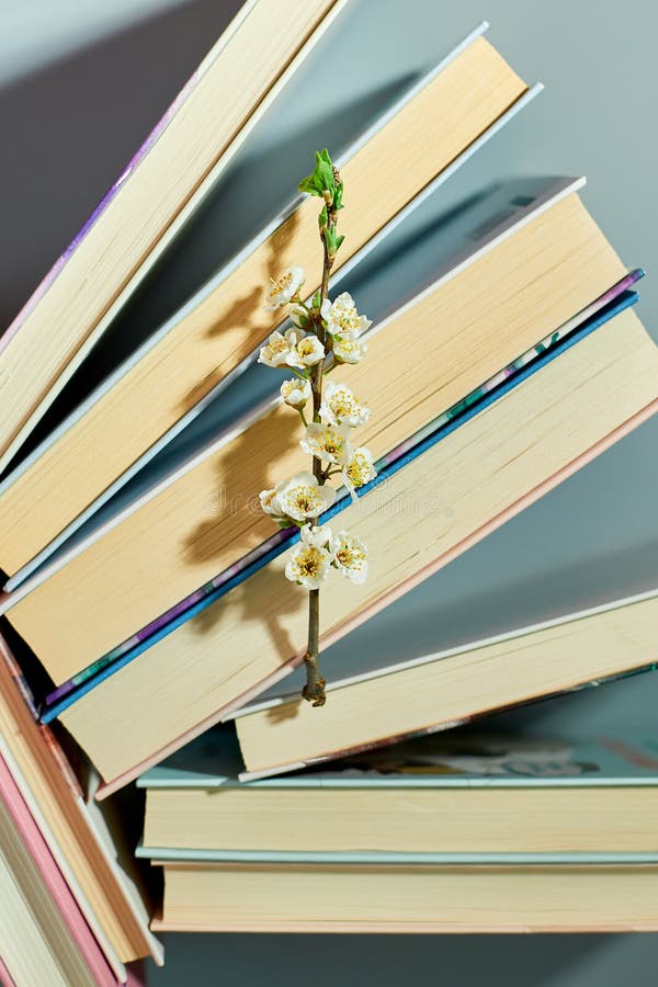 Stack of Books with Branch Flowers, World Book Day Stock Image - Image ...