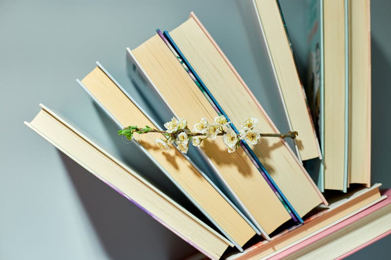 Stack of Books with Branch Flowers, World Book Day Stock Image - Image of world, open: 287139725