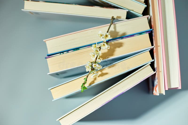 Stack of Books with Branch Flowers, World Book Day Stock Photo - Image of page, flower: 287139760