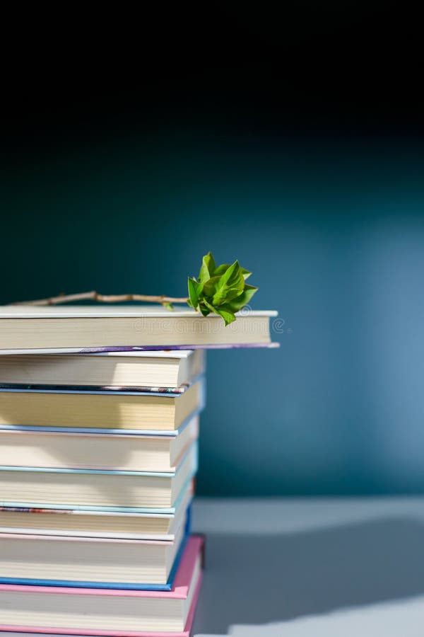 Stack of Books with Branch Green Leaves, World Book Day Stock Image ...