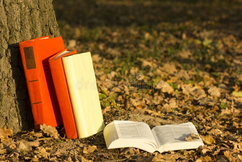 Stack of Books and Open Hardback Book on Blurred Nature Landscape ...