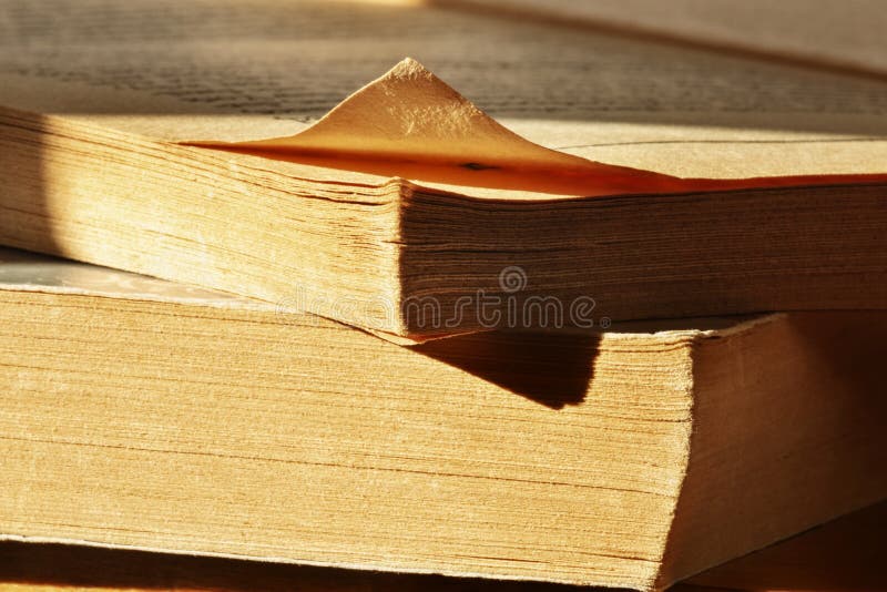 Printable Dog Shot Stock Photos - Free & Royalty-Free Stock Photos from ...