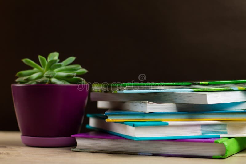 Stack of Books on a Table and a Pot with a Succulent Plant. Copyspace ...