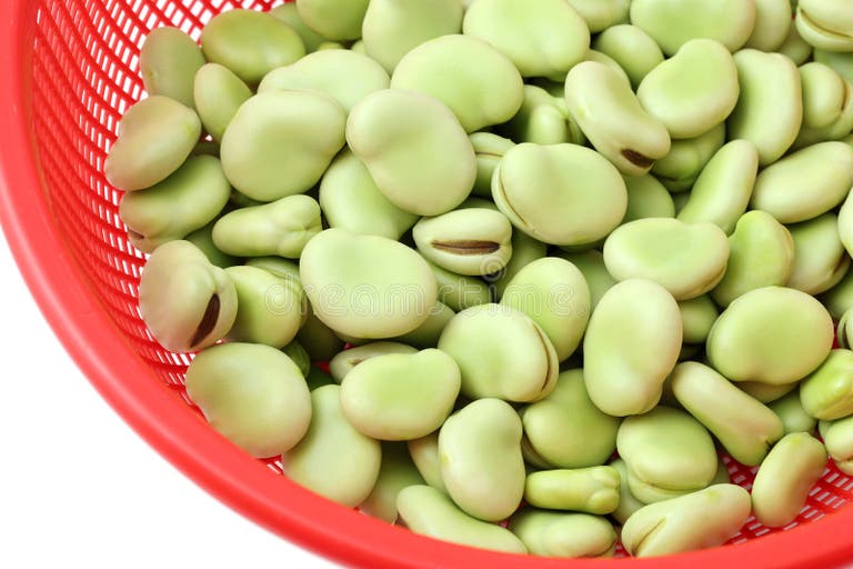 Stack of Broad Beans in a Basket Stock Photo - Image of seed, cuisine ...