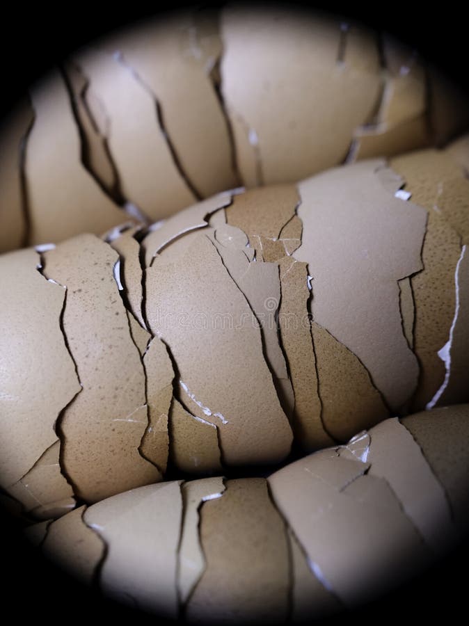 Stack of broken egg shells stock image. Image of damaged - 376831557