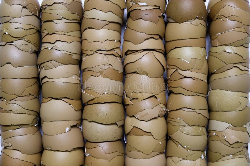 Stack of broken egg shells stock photo. Image of chicken - 367609894