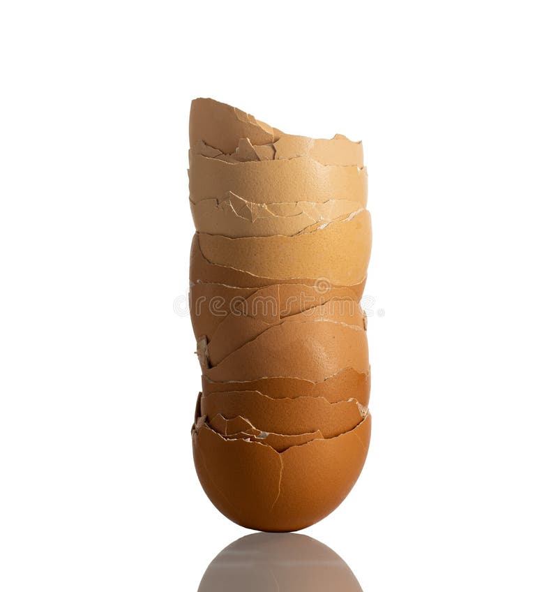 Stack of brown egg shells stock image. Image of stack - 283893153