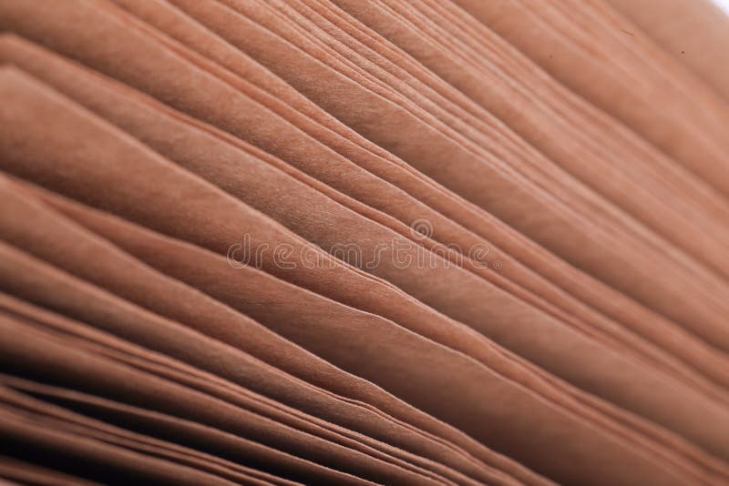 Stack of Brown Paper Page Document Stock Image - Image of book, report ...
