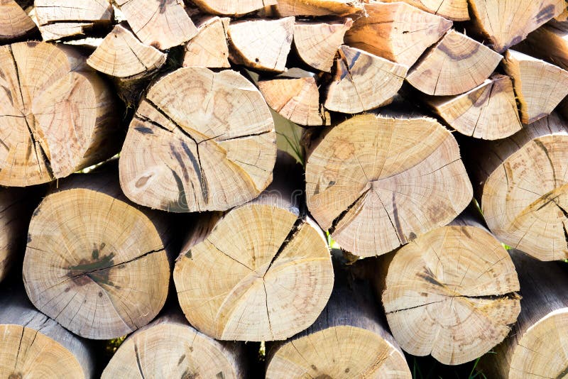 Stack of Brown Wood Log Background Stock Photo - Image of color, heap ...