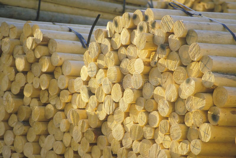 Stack Bundled Fence Posts Stock Photos - Free & Royalty-Free Stock ...