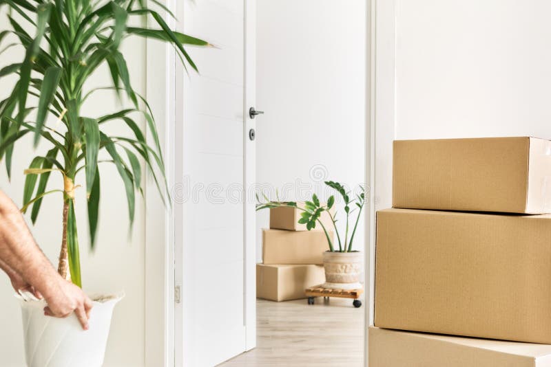 Stack Cardboard Boxes Living Room. Space for Text Stock Photo - Image ...