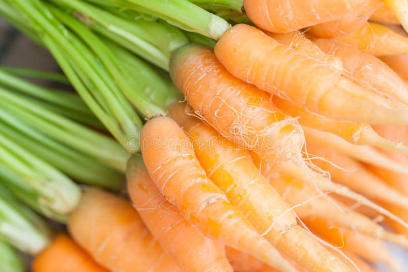 A Stack of carot stock image. Image of diet, dietetic - 70251585