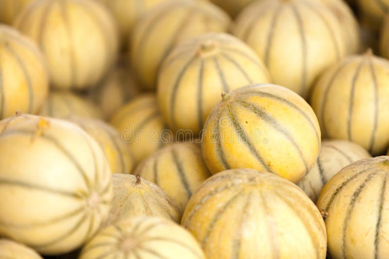 Stack of Charentais Melons on a Market Stall Stock Image - Image of ...