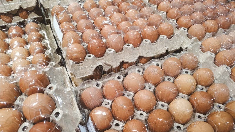 Stack of Chicken Eggs in Package Stock Photo - Image of package ...
