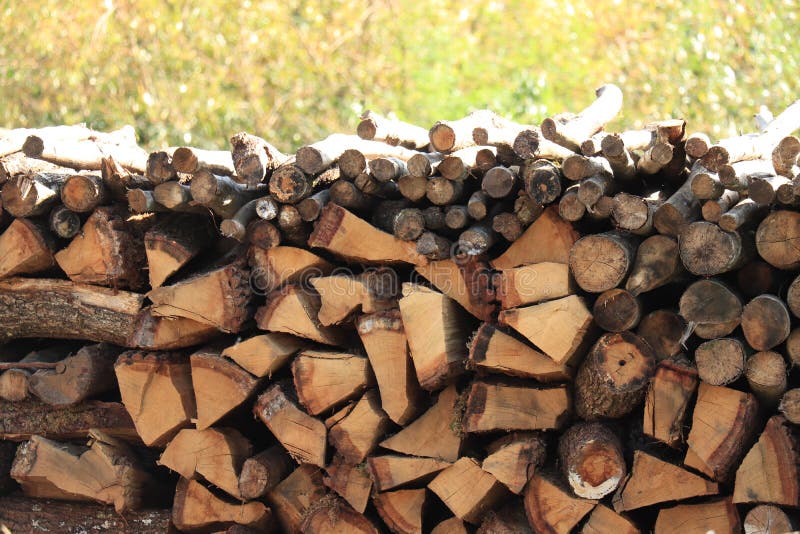 Stack of Chopped Firewood in Forest Stock Image - Image of stacked ... Stack of Chopped Firewood in Forest Stock Image - Image of stacked ...