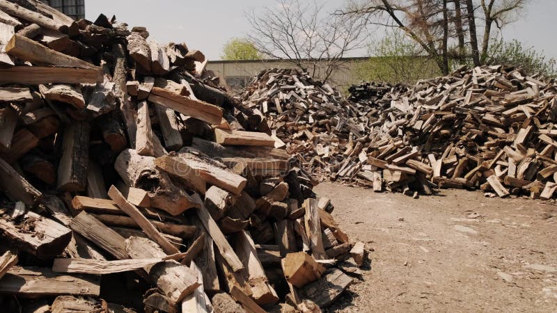 Stack of Chopped Firewood, Raw Barked Wood Logs in a Storage. Move ...