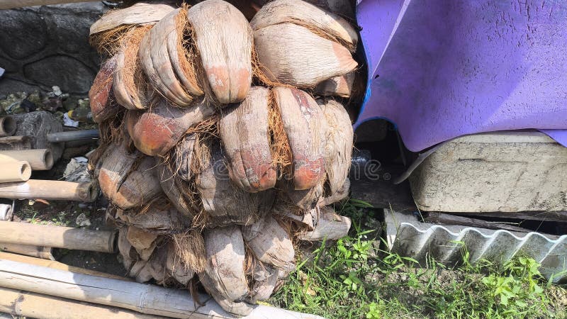 Stack of Coconut Shells Used for Baking or Potting Stock Image - Image ...