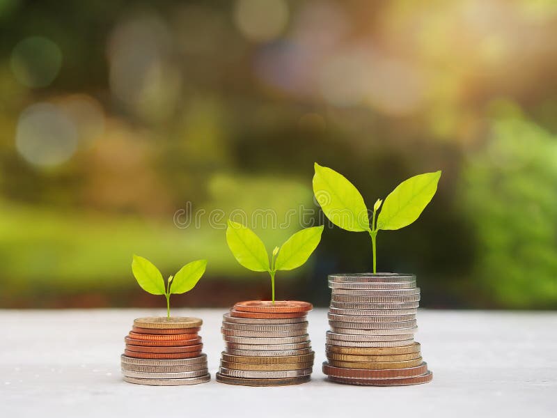 Money Growth and Investment Concept Stock Photo - Image of investment ...