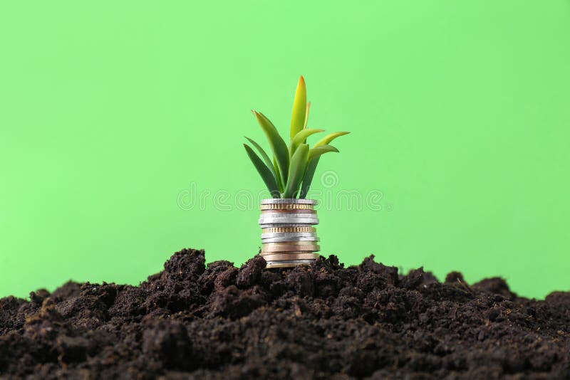 Stack of Coins and Green Plant on Soil Against Blurred Background ...